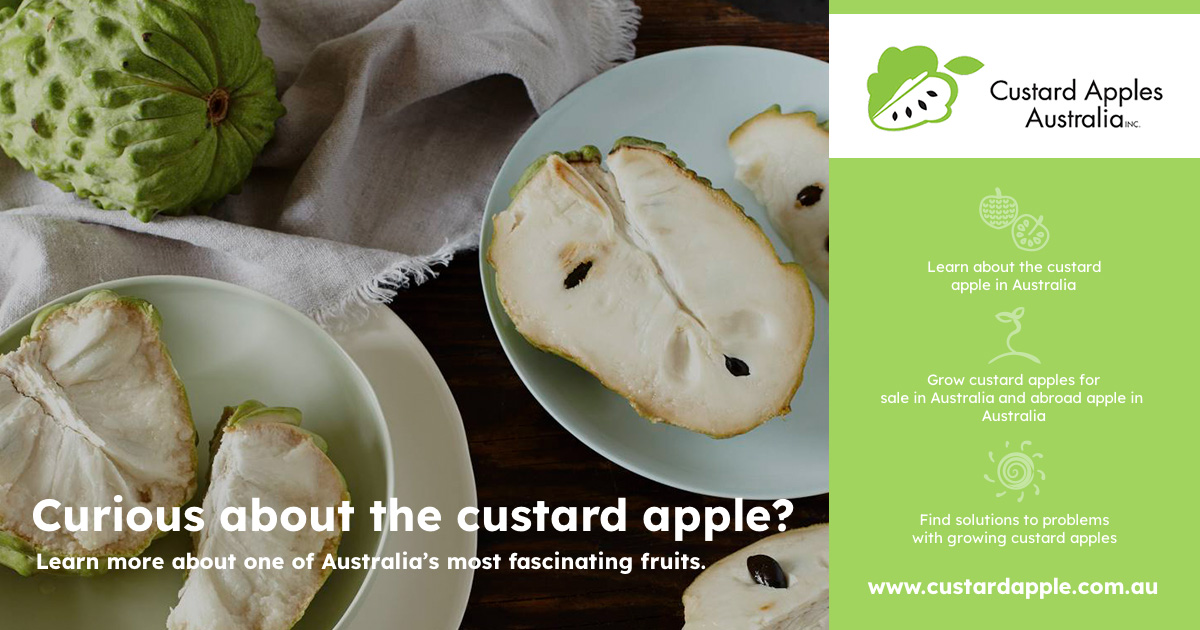 Home - Custard Apples Australia Inc.